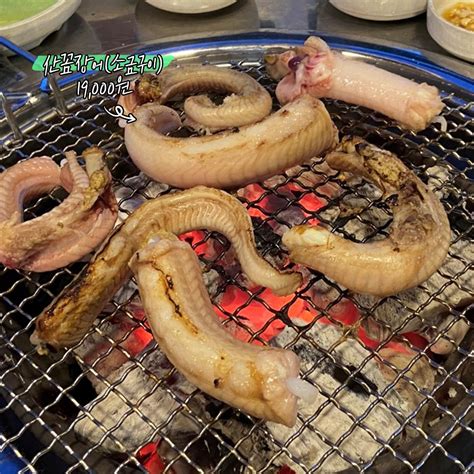 서울 투 서울 숯불에 굽는 꼼장어 맛집🔥🔥 냉동 가격인데 100 산꼼장어라고요 불판에서 살아