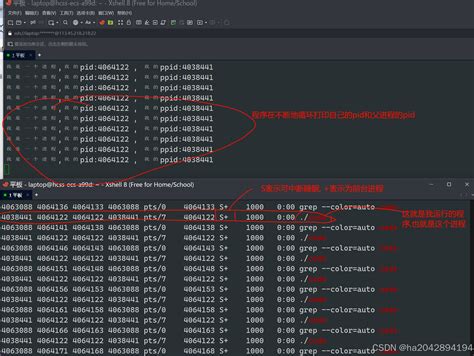 Linux操作系统学习之 进程状态 Csdn博客