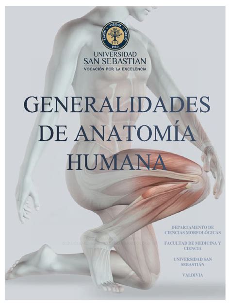 Apunte Generalidades De Anatomía Humana 2024 Pdf Sistema Linfático