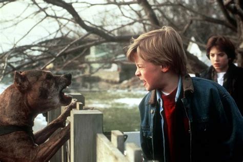 The Good Son 1993