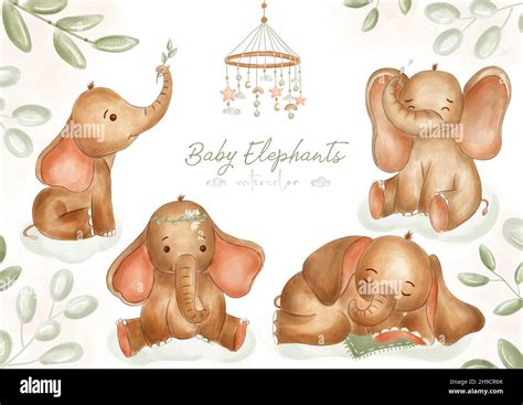 Set Of Watercolor Elephants For Nursery Cute Different Elephants Set
