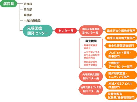 組織 総合案内 群馬大学医学部附属病院 先端医療開発センター臨床研究推進部
