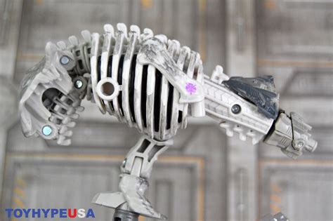 Hasbro Transformers War For Cybertron Kingdom Ractonite Figure Review