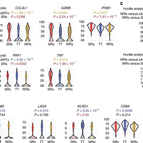 Isolation Procedure And Adoptive Transfer Of Fv Specific Tdtomato⁺ Cd8