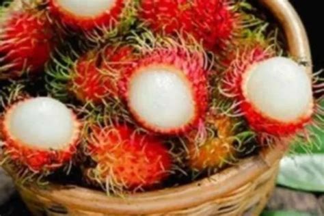 Inilah Manfaat Dan Arti Dari Buah Rambutan Yang Perlu Anda Ketahui