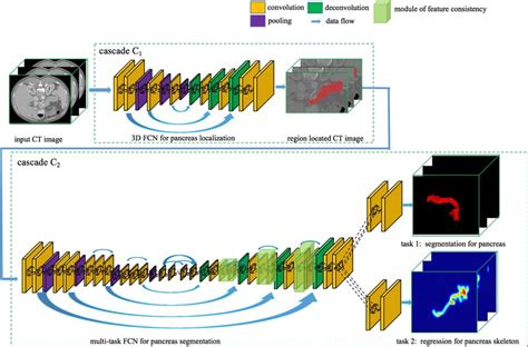 Network Architecture Of Multitask 3 D Fcn For Pancreas Segmentation Download Scientific Diagram