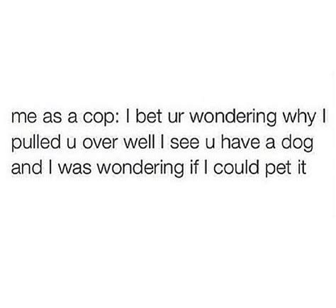 Funny Dog Memes That Will Make You Laugh