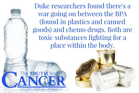 Duke Study How Bpa Inhibits Breast Cancer Drugs