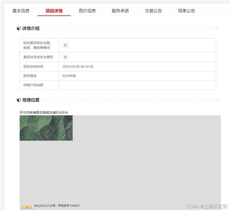 天地图使用踩坑选项卡里面装地图样式问题显示不全天地图 容器大小改变 Csdn博客