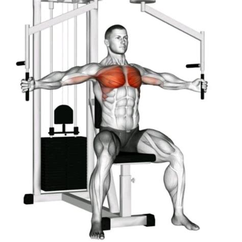 Chest Fly By Darla Whisenand Exercise How To Skimble