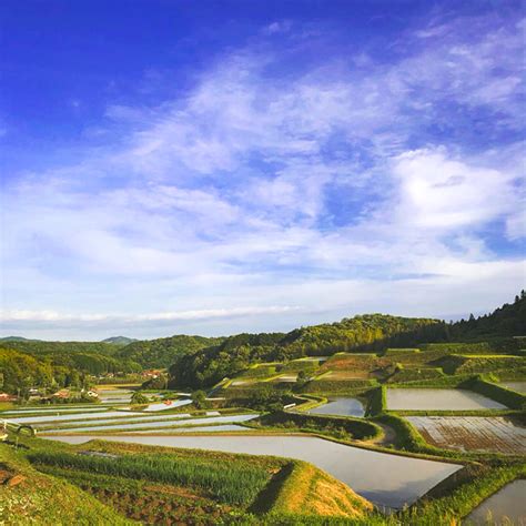 山口県 宇部市 ／【山口県宇部市】アグリ・スマートシティ実証実験モニター参加者募集 無料プレスリリース「pr Free」