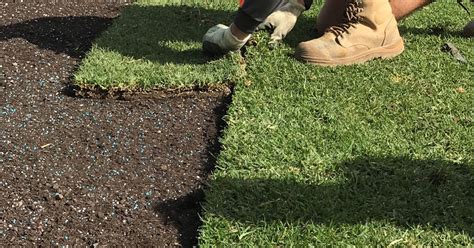 How To Measure Lawn Size Easy Steps For Accurate Results