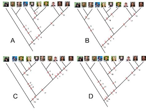 Solved Phylogeny Problem The Ucf Biology Department Wanted