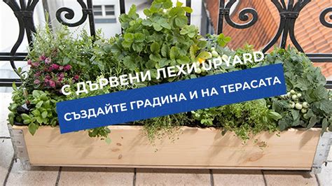 Повдигнати дървени лехи и сандъчета Upyard за отглеждане на билки