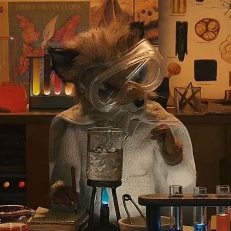 Pin By ͏ ͏ ͏ ͏ ͏ ͏ ͏ ͏ ͏ ͏ ͏ ͏ ͏ ͏ ͏ On Icons Fantastic Mr Fox Movie