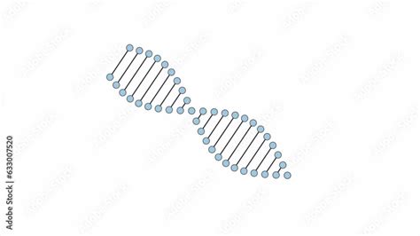 Dna Strand Rotating Line 2d Object Animation Molecule Dna Flat Color Cartoon 4k Video Alpha Dna Strand Rotating Line 2d Object Animation Molecule Dna Flat Color Cartoon 4k Video Alpha