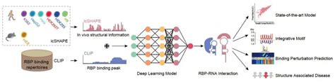 News Genomics Proteomics And Bioinformatics