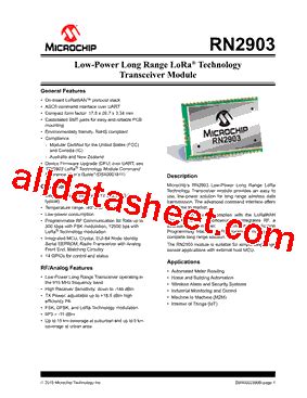 RN Datasheet PDF Microchip Technology