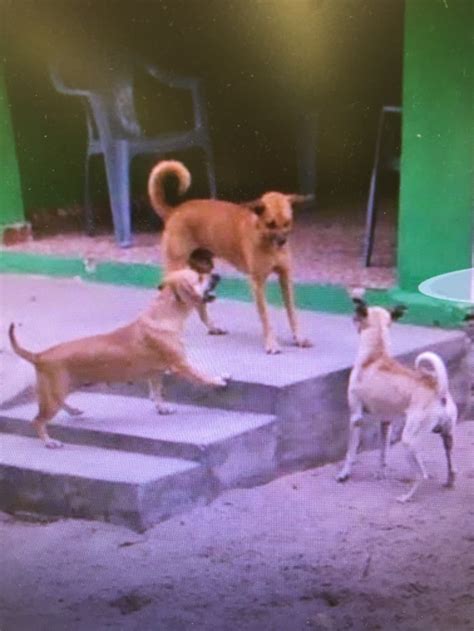 Came Across This While Playing Geoguessr 9gag