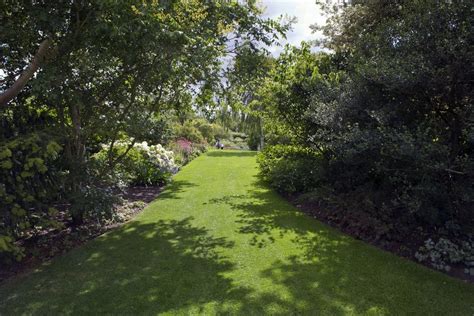 Best Grass Seed Reviews Uk 5 Top Lawn Seeds To Buy