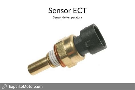 Sensor de temperatura ECT Fallas ubicación diagnóstico ExpertoMotor