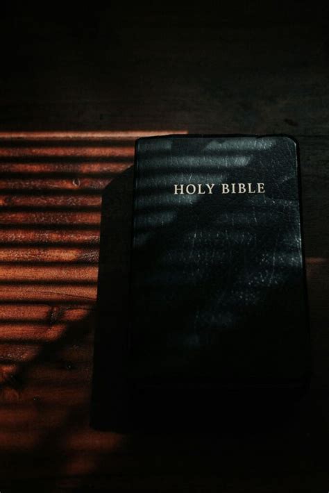 Understanding Biblical Prophecy What The Prophets Said And How Its
