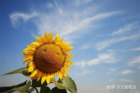 怼人的话不带脏字超狠 专治阴阳怪气不失礼貌的句子 知乎