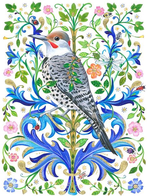 Northern Flicker Poster Print Isabelle Brent Posterazzi