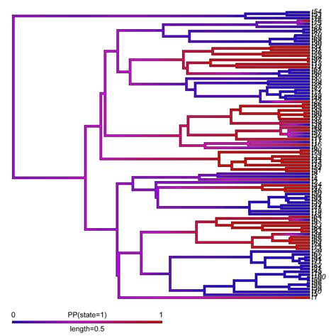 Phylogenetic Tools For Comparative Biology Circular Trees In