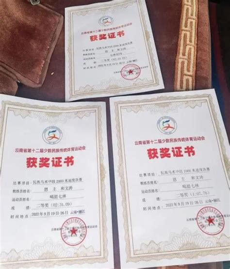 价值28万纯血马在丽江走失 主要特征是：眉心有白色花纹，左肩带有橘黄色哈达 新闻频道 和讯网
