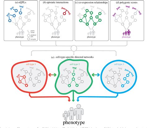Figure 3 From A Practical View Of Fine Mapping And Gene Prioritization