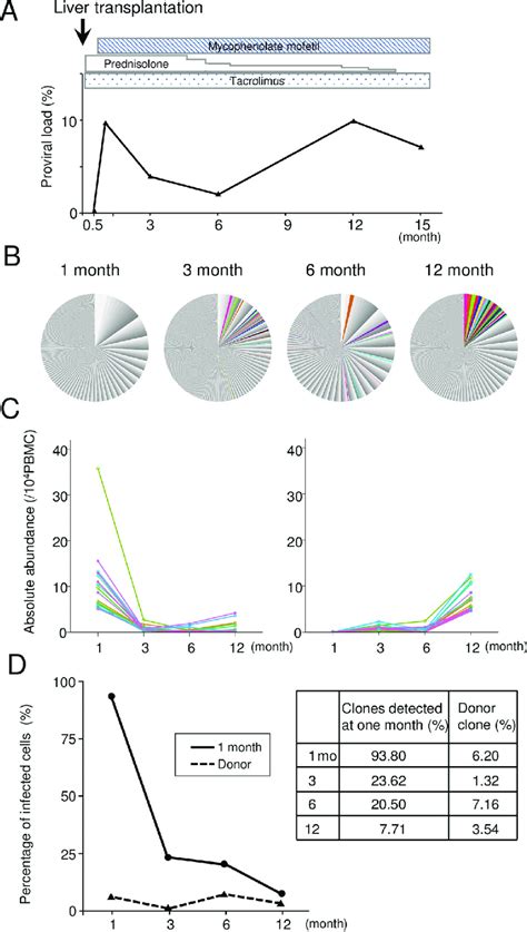 Proviral Load And Clonality In The Htlv 1 Seronegative Patient Who