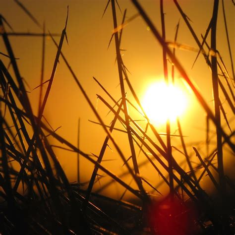 Sunnova Secures 300m Investment From Energy Capital Partners