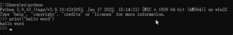 Python 保姆级win11环境安装pythonpython 11的安装教程 Csdn博客