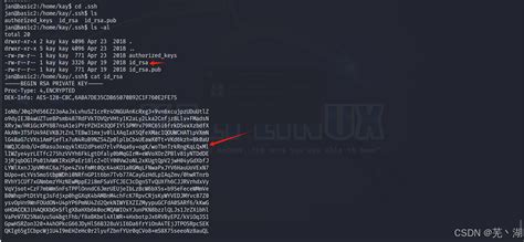 Vulnhub靶机：basicpentesting2（渗透测试详解）vulnhub Basic2 Csdn博客