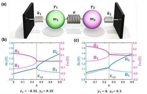 A A Coupled Oscillator Dimer With Differential Damping The Green Download Scientific Diagram