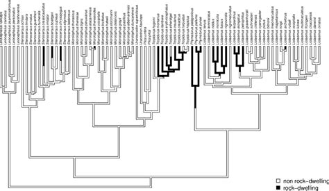 Figure 2 From A Simple Hierarchical Model For 1 Heterogeneity In The Evolutionary 2 Correlation