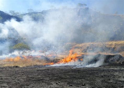 Incendios Forestales Van En Aumento En Costa Rica Tn8tv