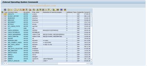 Sm Sap Tcode Maintain External Os Commands