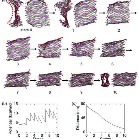 Overall Analysis Of The Cyclization Process The Cyclization Of A Dna