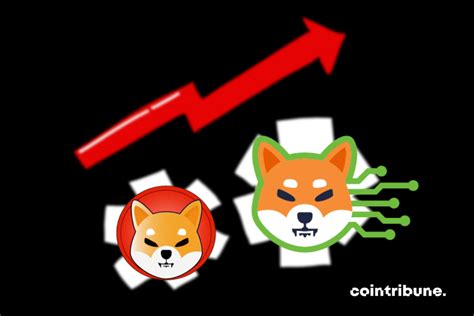 Shiba Inu Annonce Un Autre Projet Grandiose Pour Shibarium
