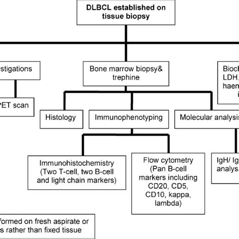 Pdf Staging Bone Marrow In Diffuse Large B Cell Lymphoma