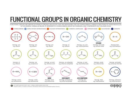 Organic Chemistry Functional Groups Quiz