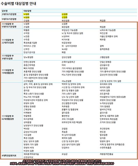 보장 좋고 가성비 좋은 세 가지 수술비보험을 추천드려요 네이버 블로그