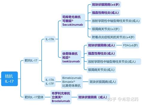 如何记住所有fda批准生物药？ Il 17a、il 17f双拮抗剂 Bimekizumab 及4款il 17拮抗剂总结 知乎