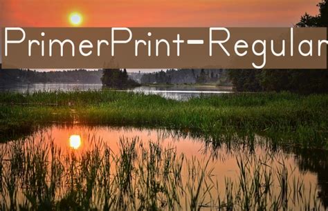 PrimerPrint Regular Font FFonts Net