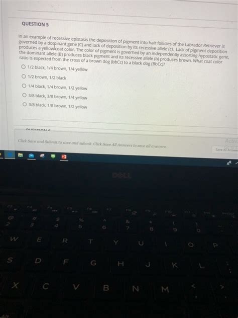 Solved QUESTION 5 In An Example Of Recessive Epistasis The Chegg