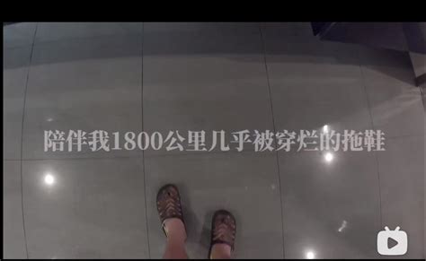 大二男生从奉贤坐公交到北京！全程1810公里，1291站；网友：慕了澎湃号·政务澎湃新闻 The Paper
