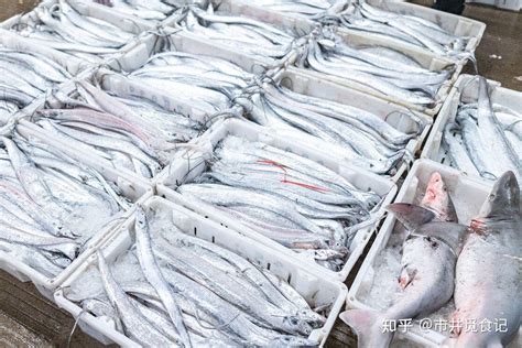 买带鱼，选“黄眼睛还是黑眼睛”的？牢记3不买，挑选带鱼简单了 知乎