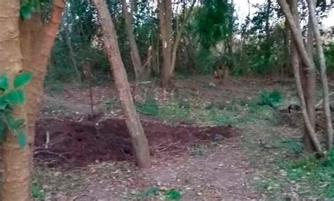 Encontraron un cadáver enterrado en un campo NexoDiario